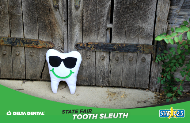 STAR 102.5’s State Fair Tooth Sleuth Presented by Delta Dental of Iowa ...