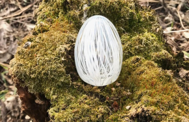 Earth Day & Extraordinary Eggs | STAR 102.5
