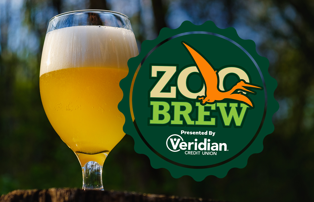 STAR Email: Zoo Brew | STAR 102.5